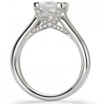 VVS1 Diamond Clarity Rating Explained [With Videos & Images]